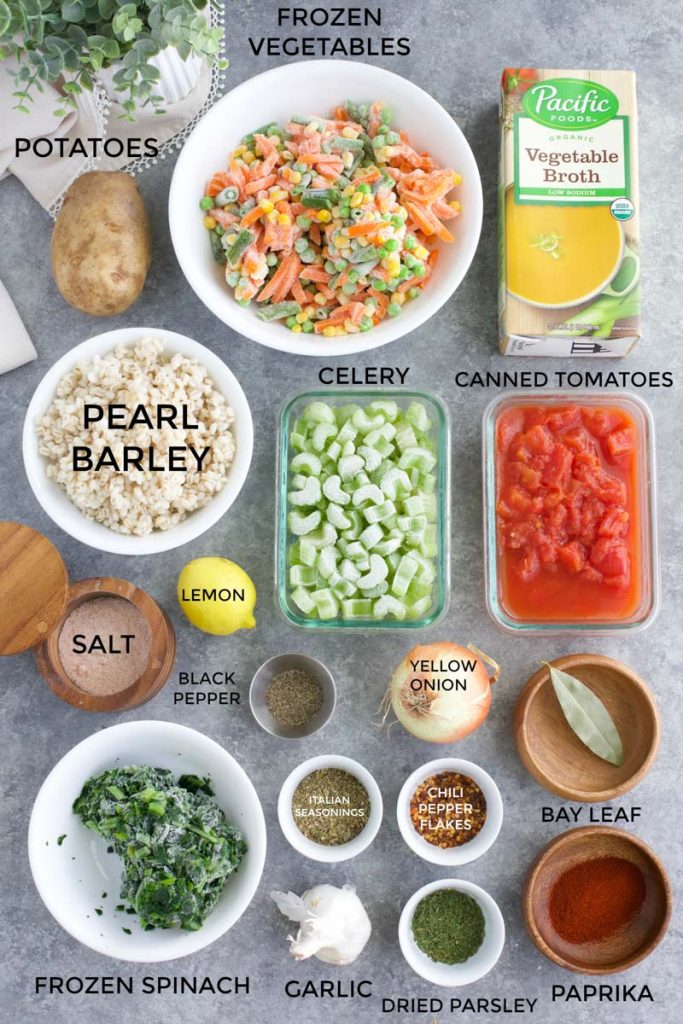 10 Vegetable Soup - Stacey Homemaker